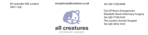 All Creatures Veterinary Surgery