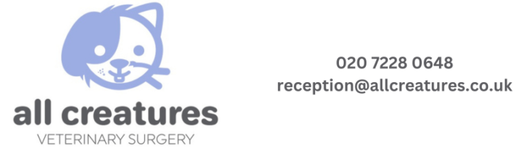 Home - All Creatures Veterinary Surgery